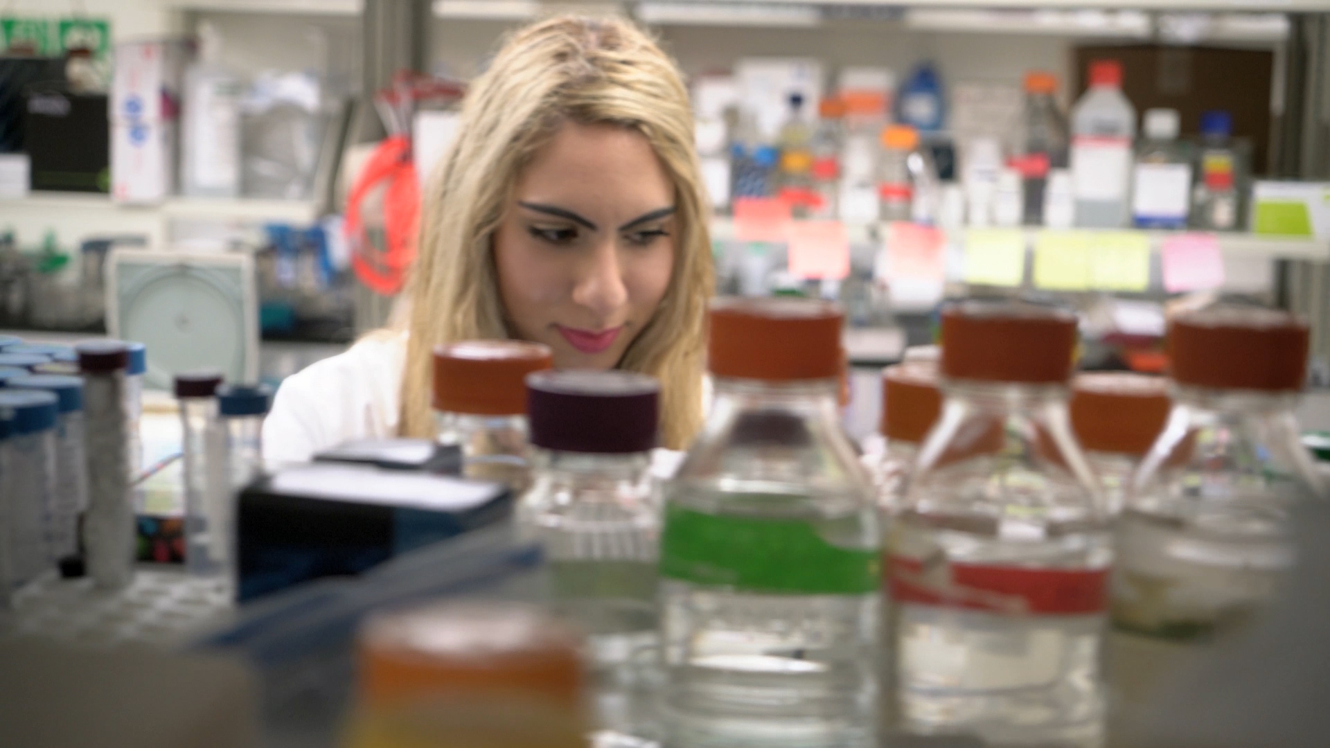 Apply On-Campus and Online | The Graduate School | University of Miami